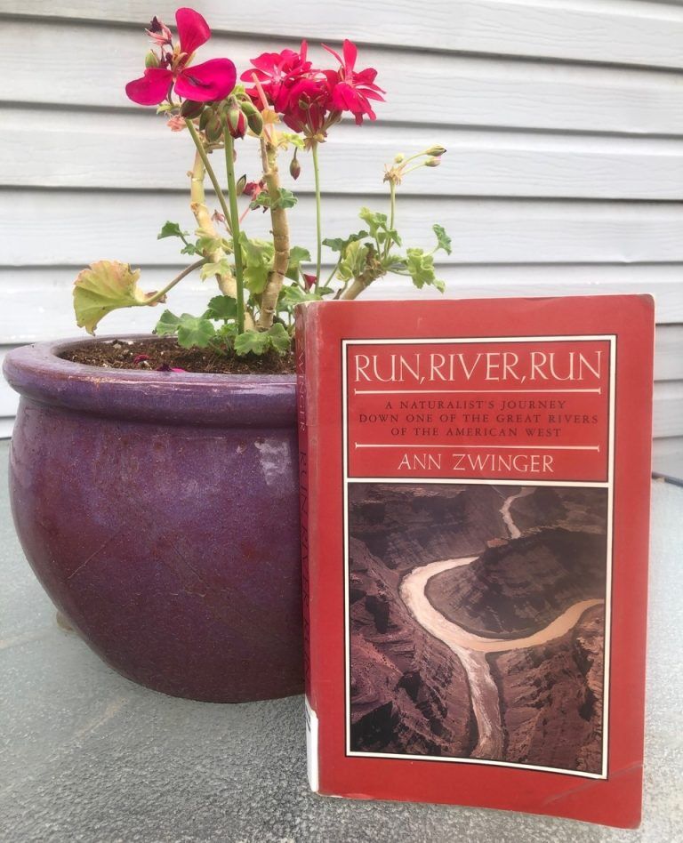 Susan Munroe's Book Recommendations "The Monthly Worm"