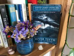 Susan Munroe's Book Recommendations "The Monthly Worm"